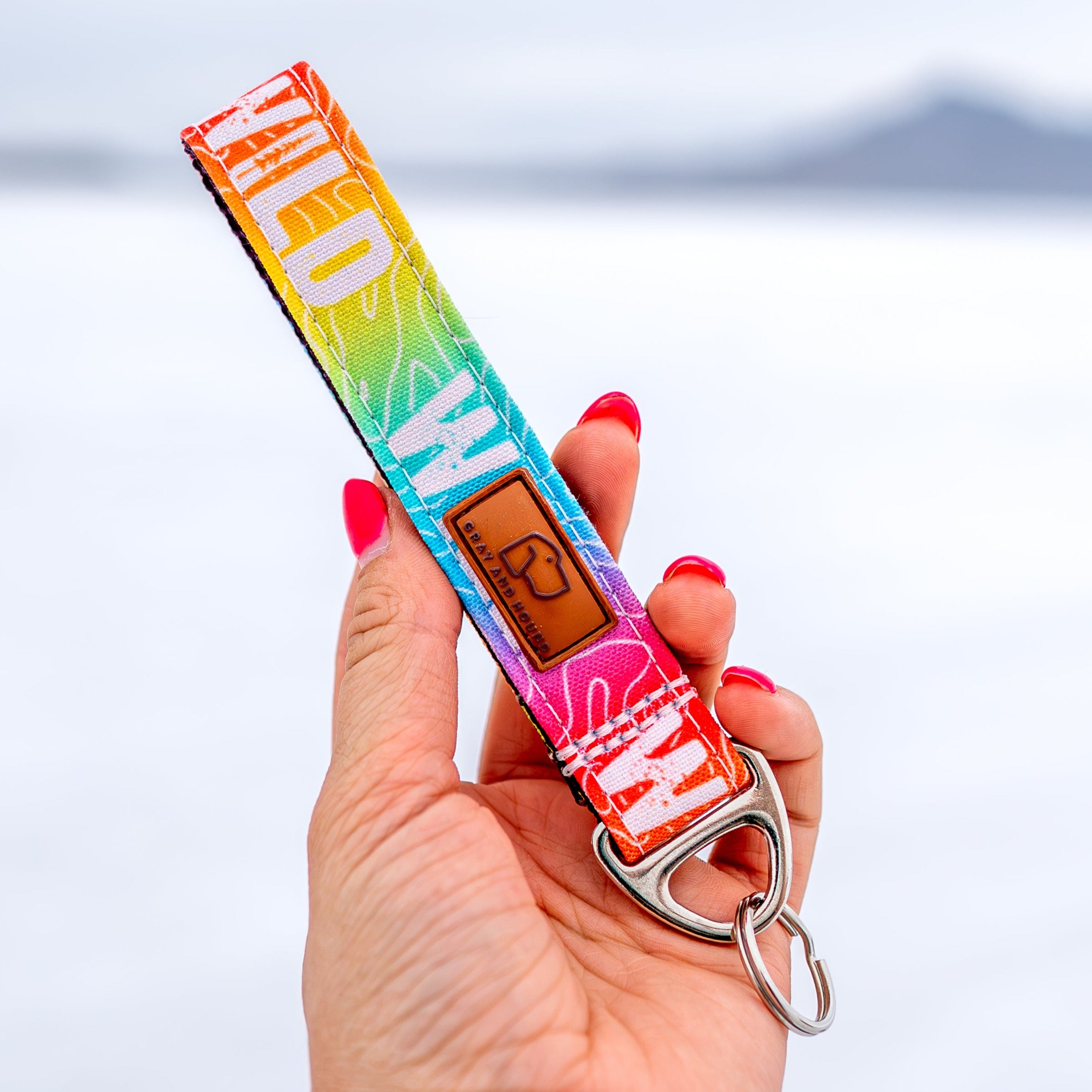 Rainbow Topo Wild Key Fob [limited edition] – GrayandHound